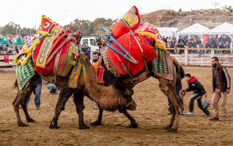 Weird Sports From Around the World: The Strangest Sports